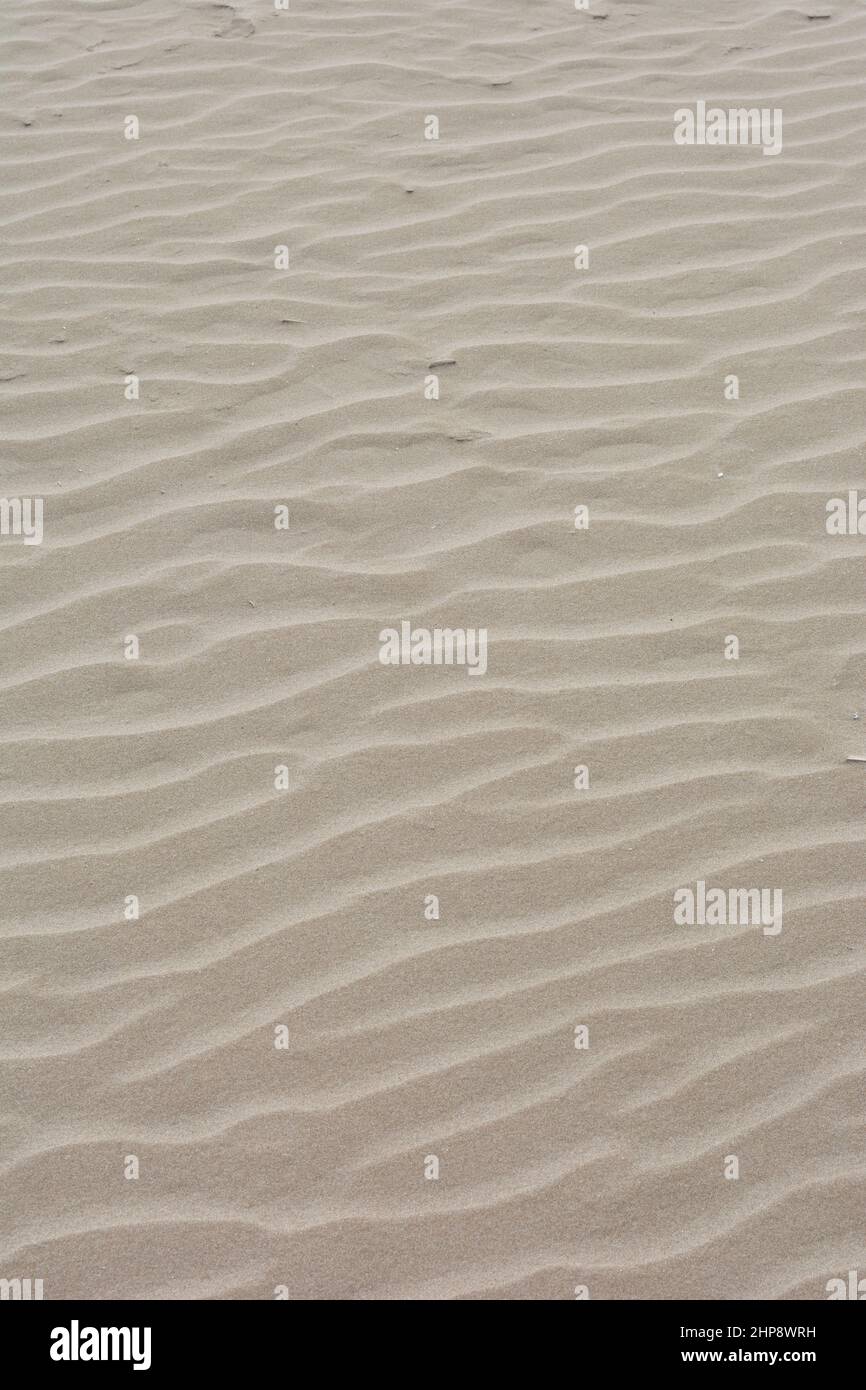 Wind texture on sand Stock Photo - Alamy