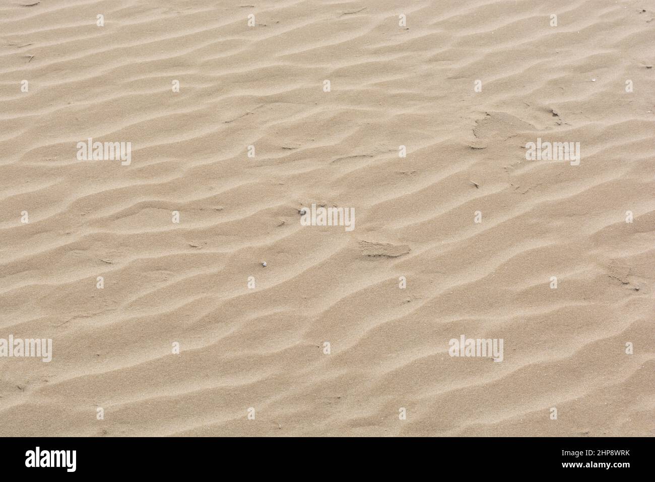 Wind texture on sand Stock Photo - Alamy