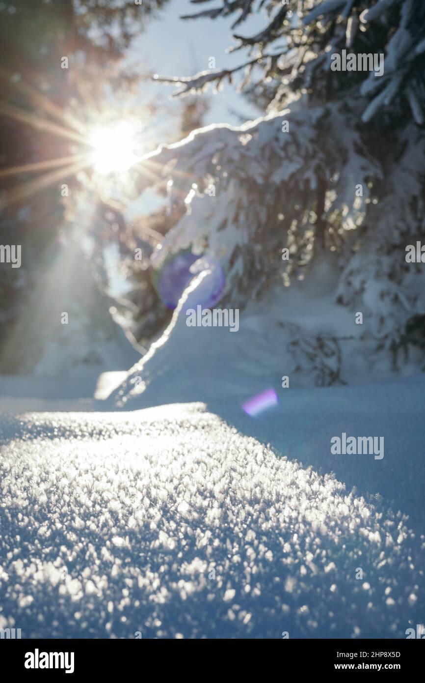 People covered by a wave hi-res stock photography and images - Alamy