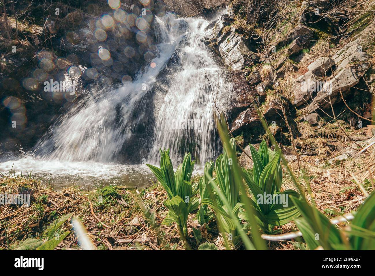 A waterfall with trees in the background Stock Photo - Alamy