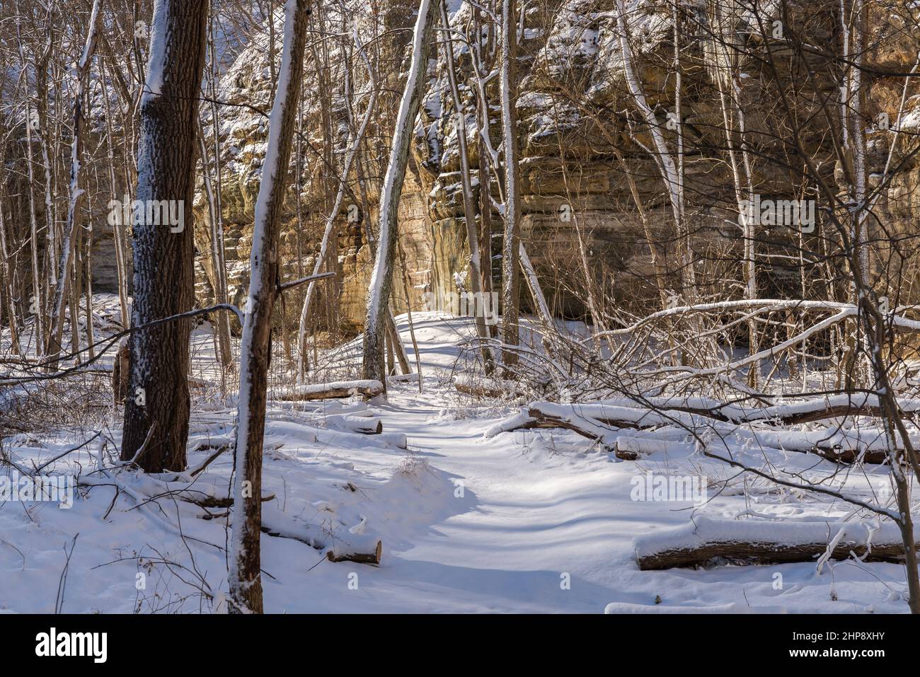 Snow covered landscape in Illinois Canyon on a beautiful Winter morning ...