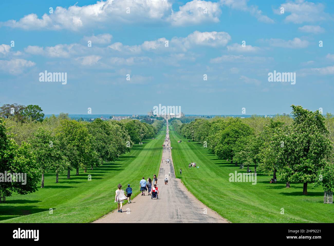 The Long Walk, A tree lined avenue in the royal parks of Windsor. The ...