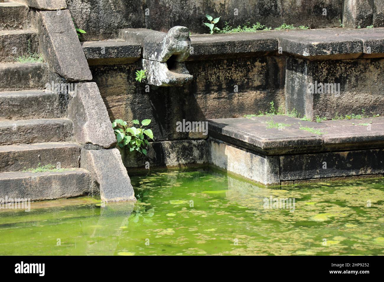 The royal bathing pool Kumara Pokuna at the ancient Kingdom of ...