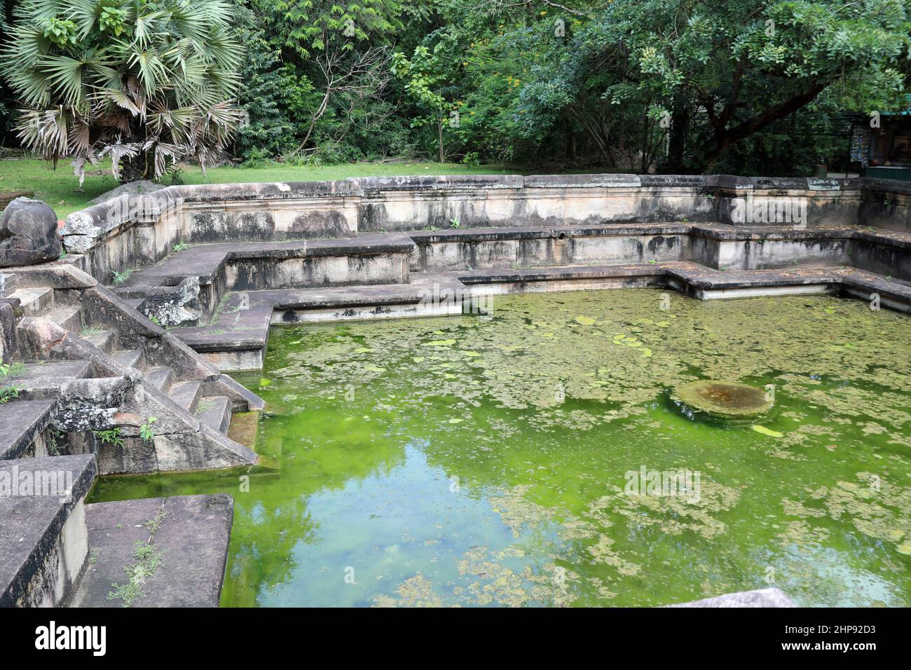 Kumara Pokuna at the ancient Kingdom of Polonnaruwa in Sri Lanka Stock ...