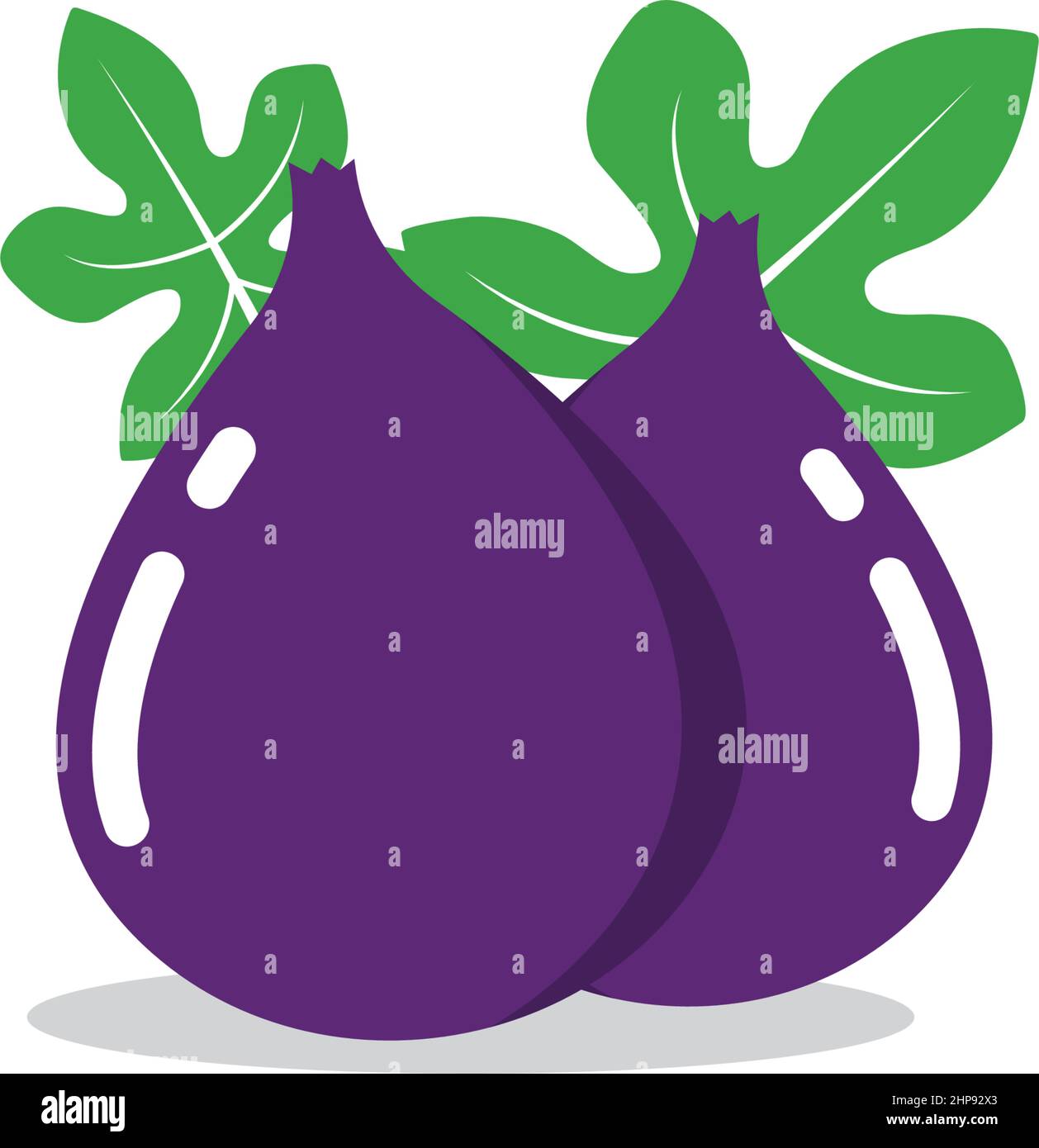 Ficus carica Stock Vector Images - Alamy