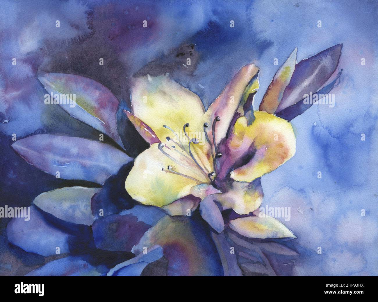 Azalea watercolor painting. Colorful azalea fine art watercolor ...