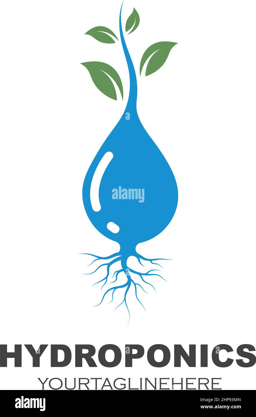 hydroponics icon vector illustration design Stock Vector Image & Art ...
