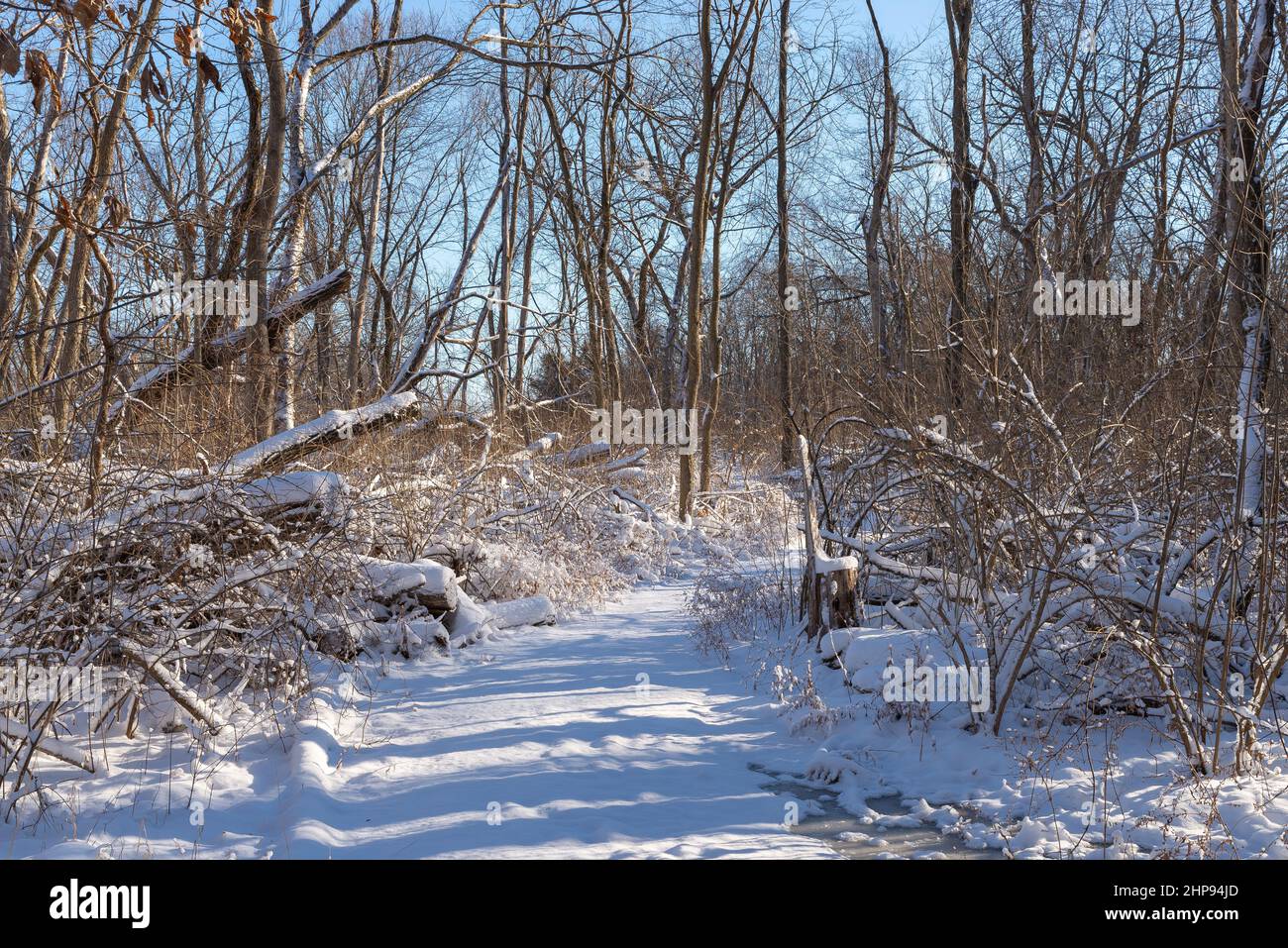 Hiking trail through Illinois Canyon after a Winter snow. Starved Rock ...