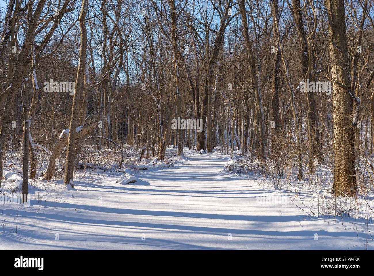 Hiking trail through Illinois Canyon after a Winter snow. Starved Rock ...