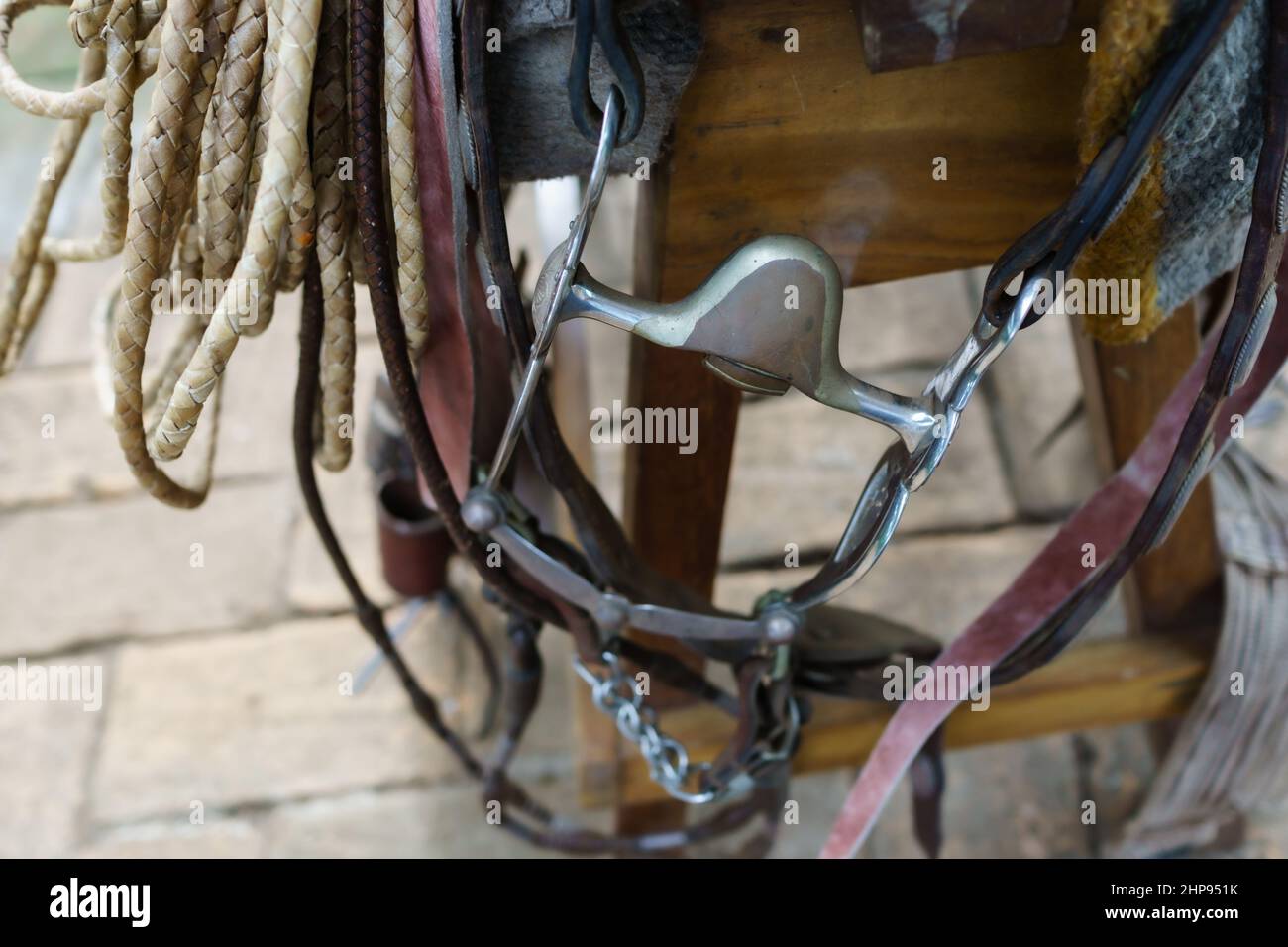 Detail of Latin American curb bit Stock Photo - Alamy