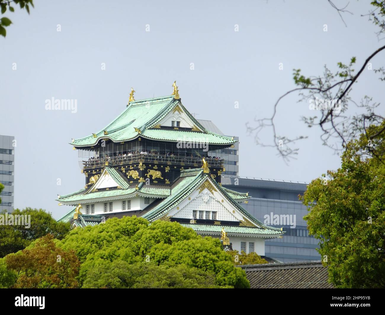 Sunny view of the famous Osaka Castle at Osaka, Japan Stock Photo - Alamy