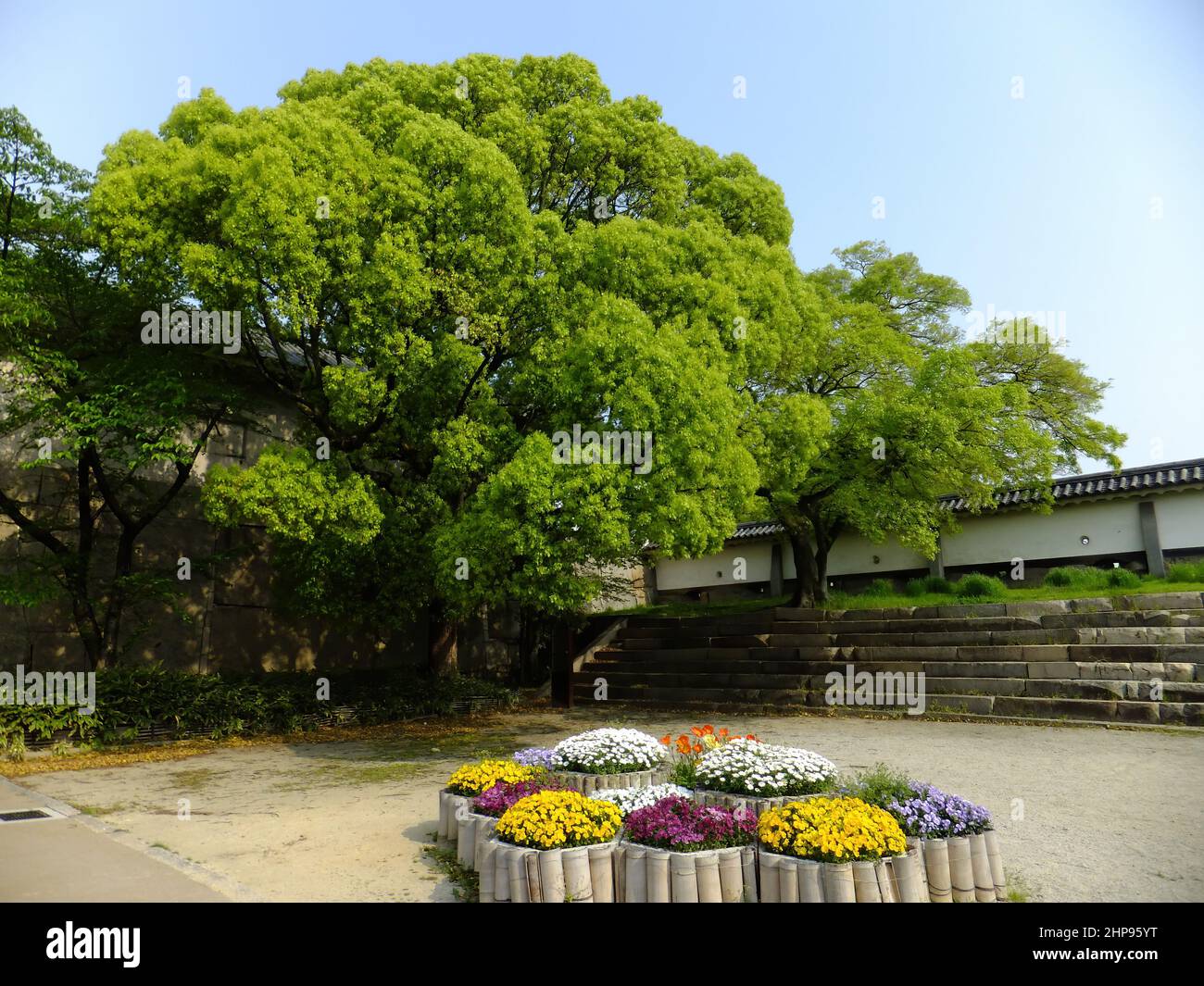 Beautiful flower garden of Osaka Castle, Osaka, Japan Stock Photo - Alamy