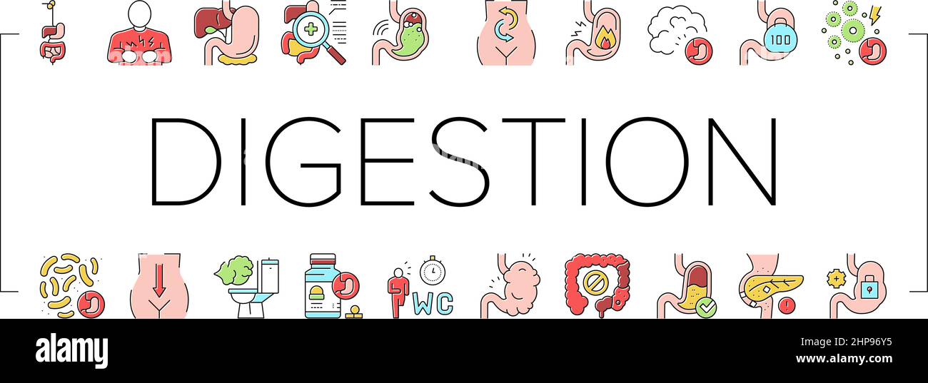 Digestion Disease And Treatment Icons Set Vector Stock Vector Image ...