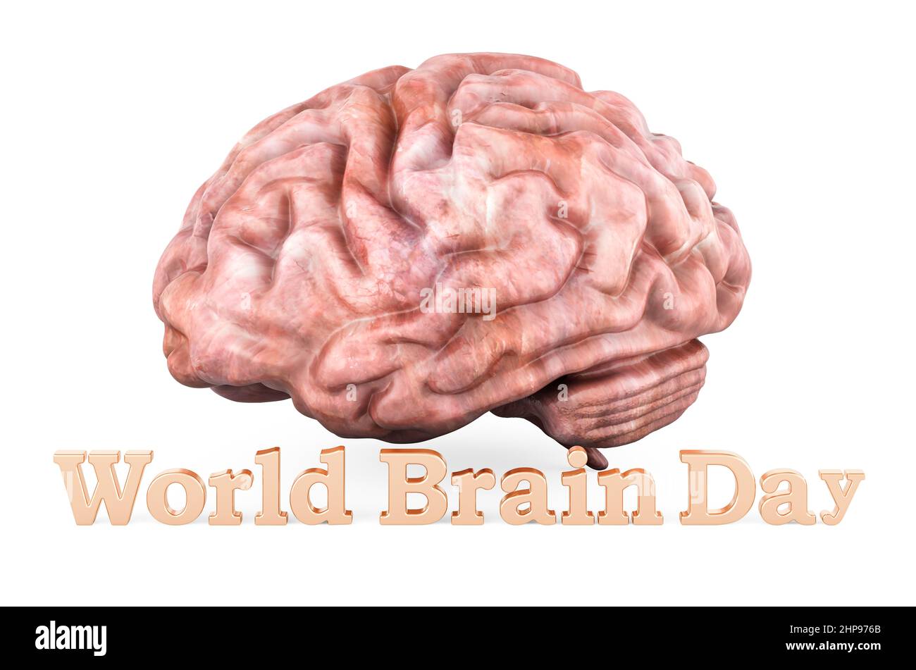 World brain day, concept. 3D rendering isolated on white background ...