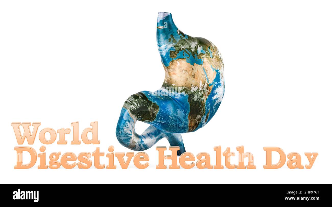 Human stomach with Earth map texture. World Digestive Health Day ...