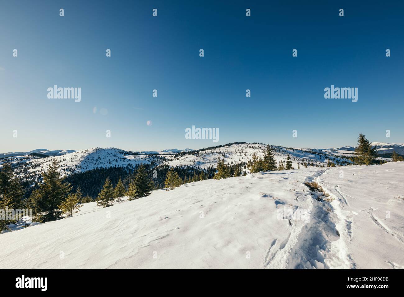 Man face down field hi-res stock photography and images - Alamy