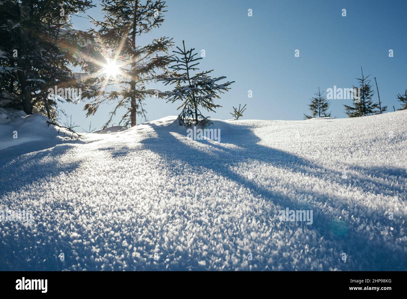 Man face down field hi-res stock photography and images - Alamy