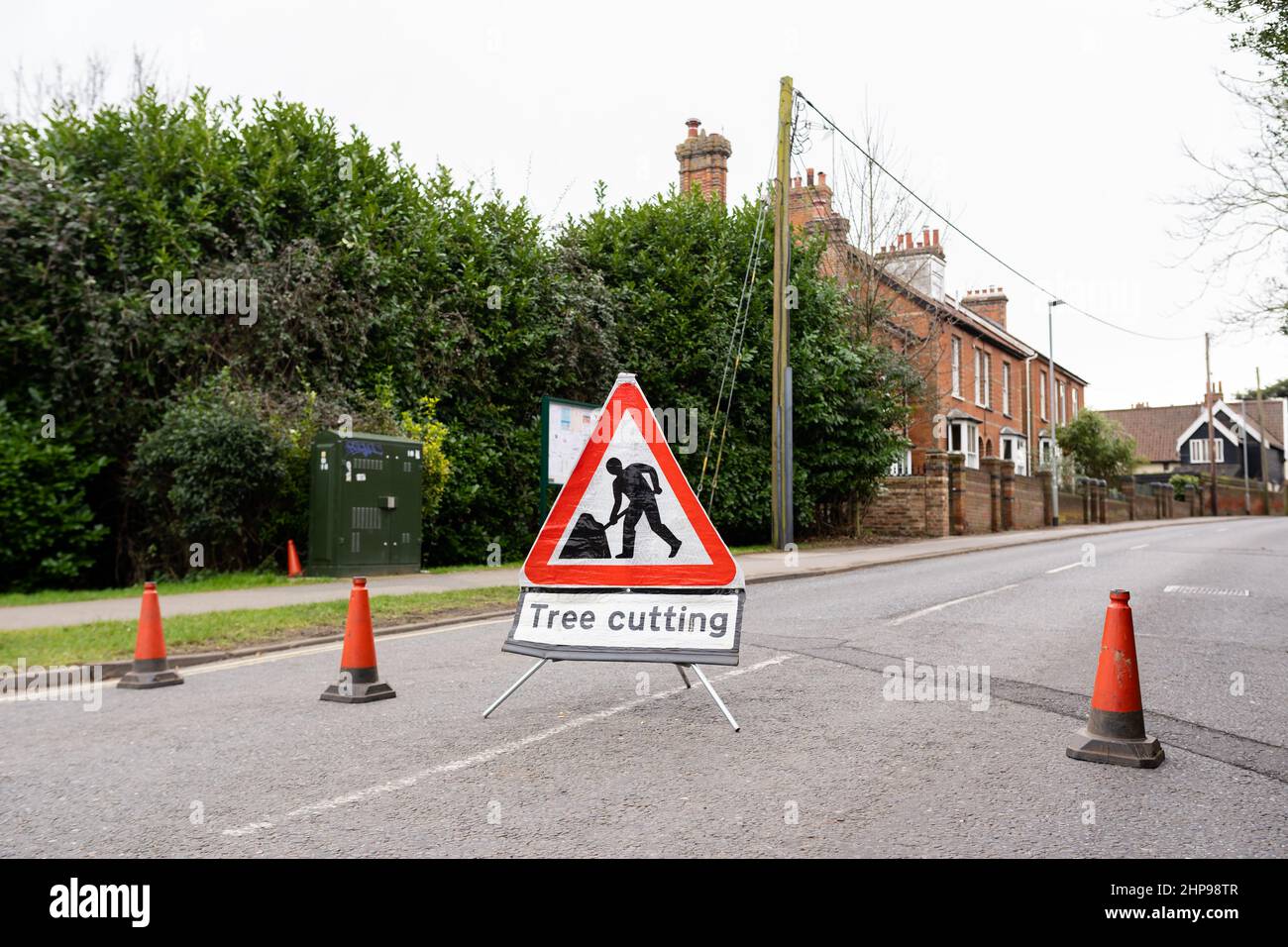 Tree cutting safety sign and orange cones blocking off road to keep the ...