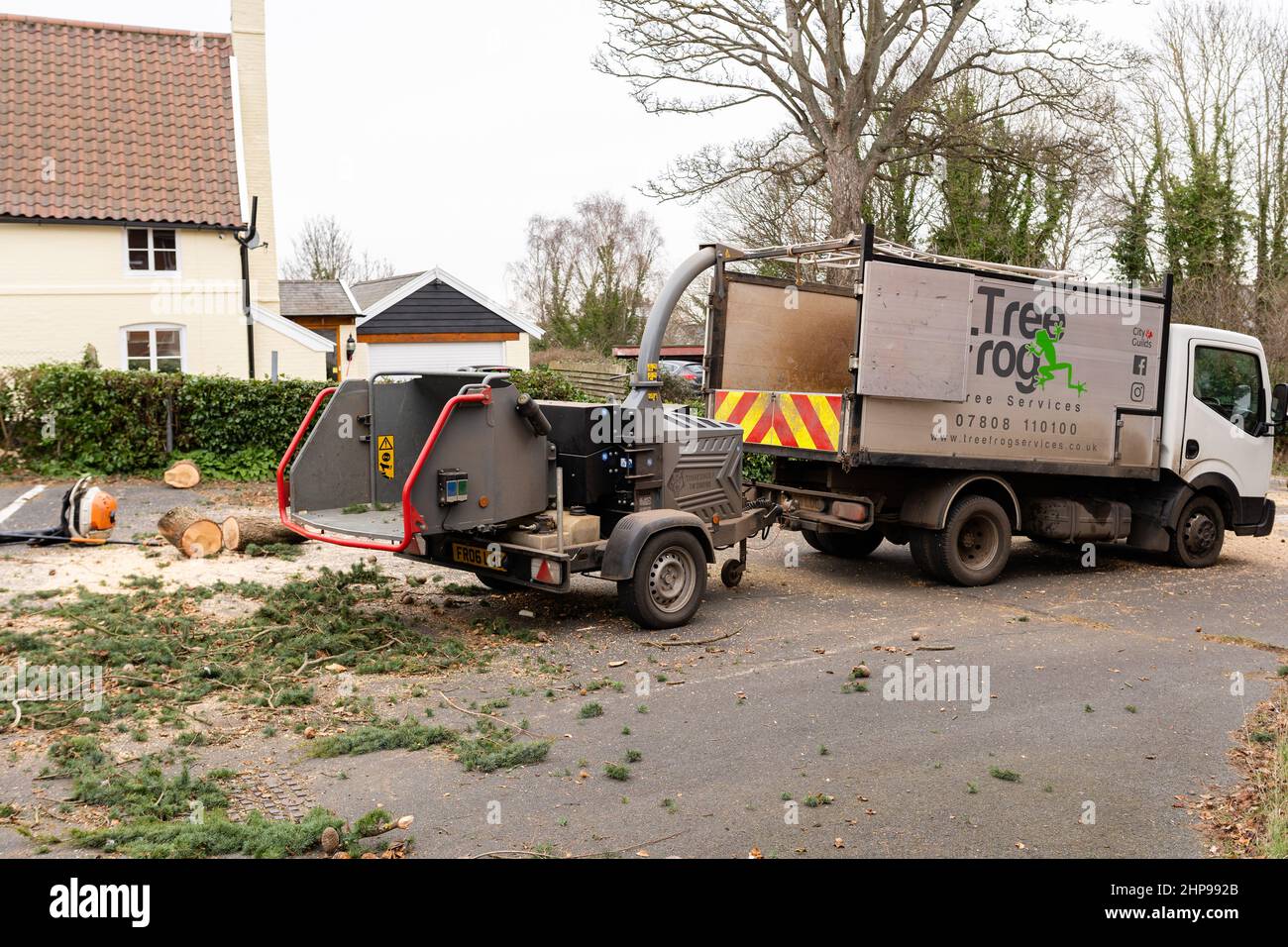 Woodbridge Suffolk UK February 19 2022: Tree surgeons carrying out ...