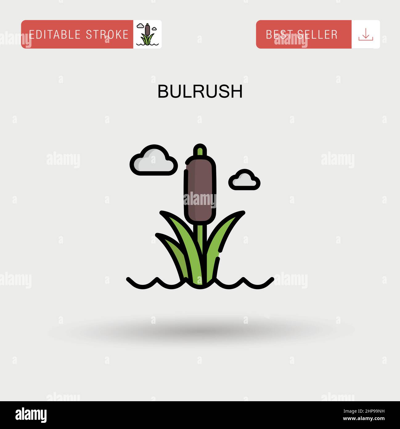 Cattail bulrush marsh grass Stock Vector Images - Alamy