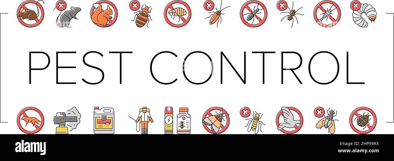 Pest Control Service Treatment Icons Set Vector Stock Vector Image ...