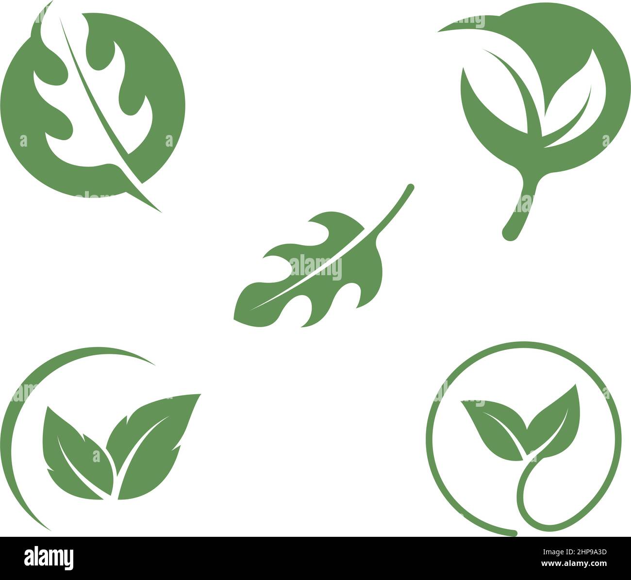 Template company Cut Out Stock Images & Pictures - Alamy