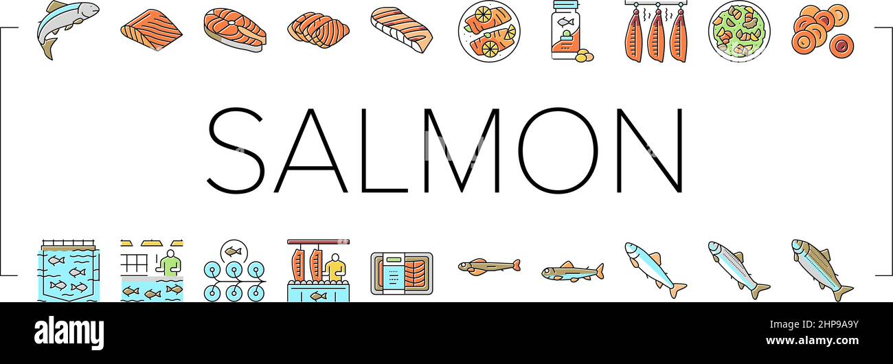 Salmon Fish Delicious Seafood Icons Set Vector Stock Vector Image & Art ...
