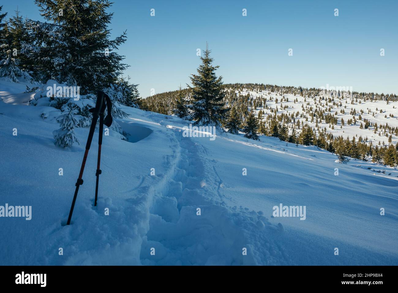 White man face covered hi-res stock photography and images - Alamy