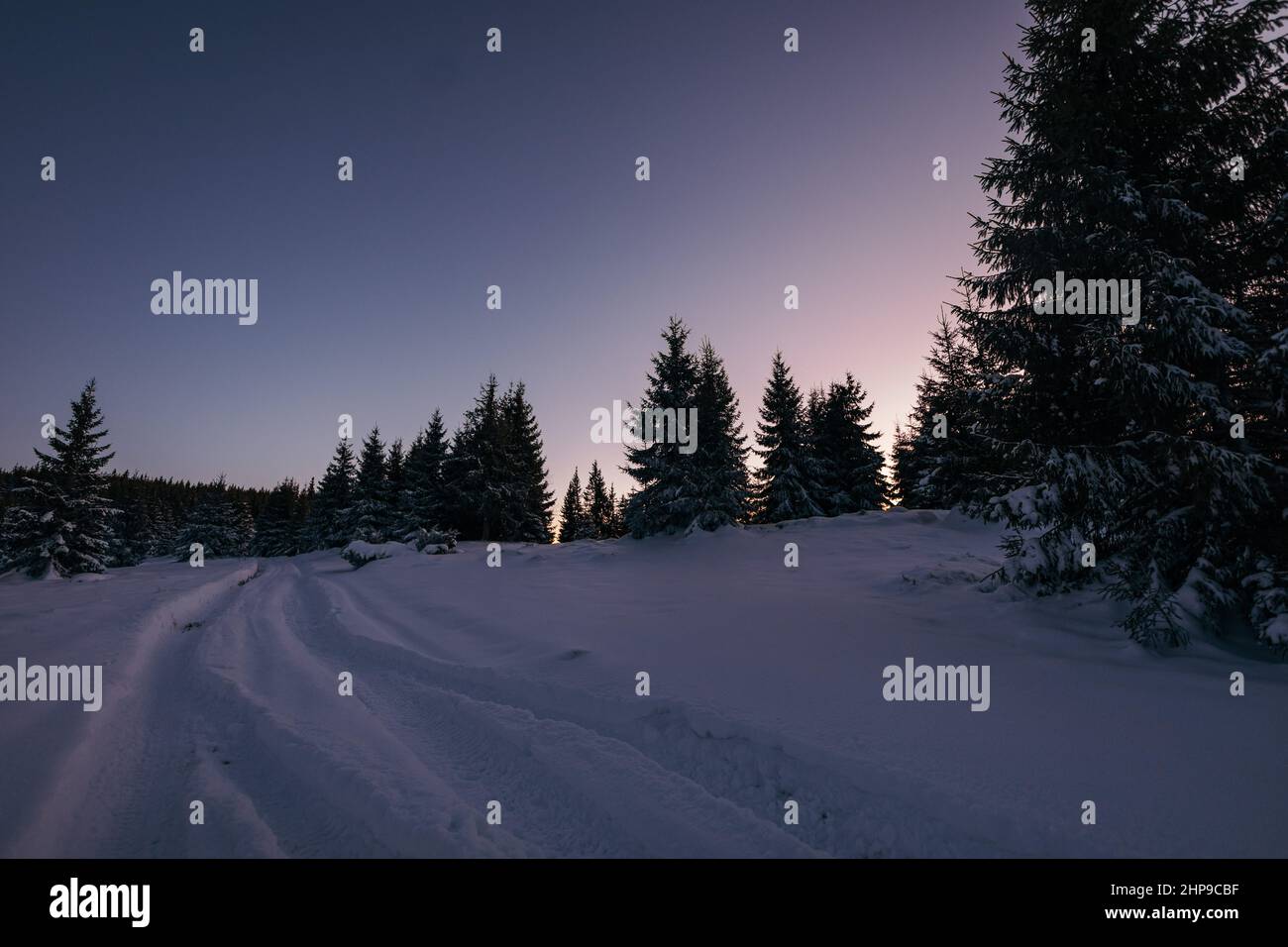 A tree with snow on the ground Stock Photo - Alamy