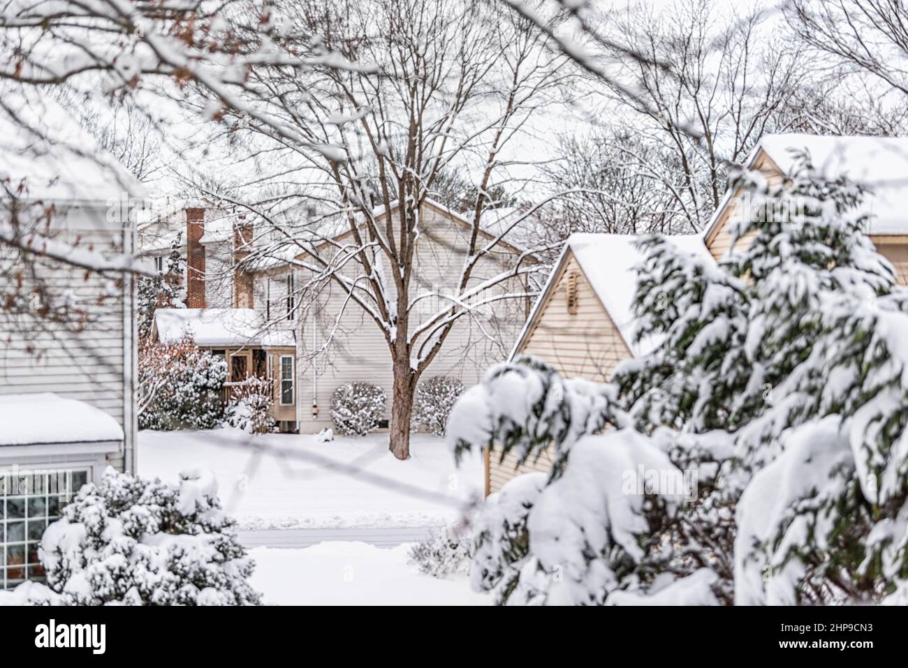 Community neighborhood single family houses backyard with snow covered ...