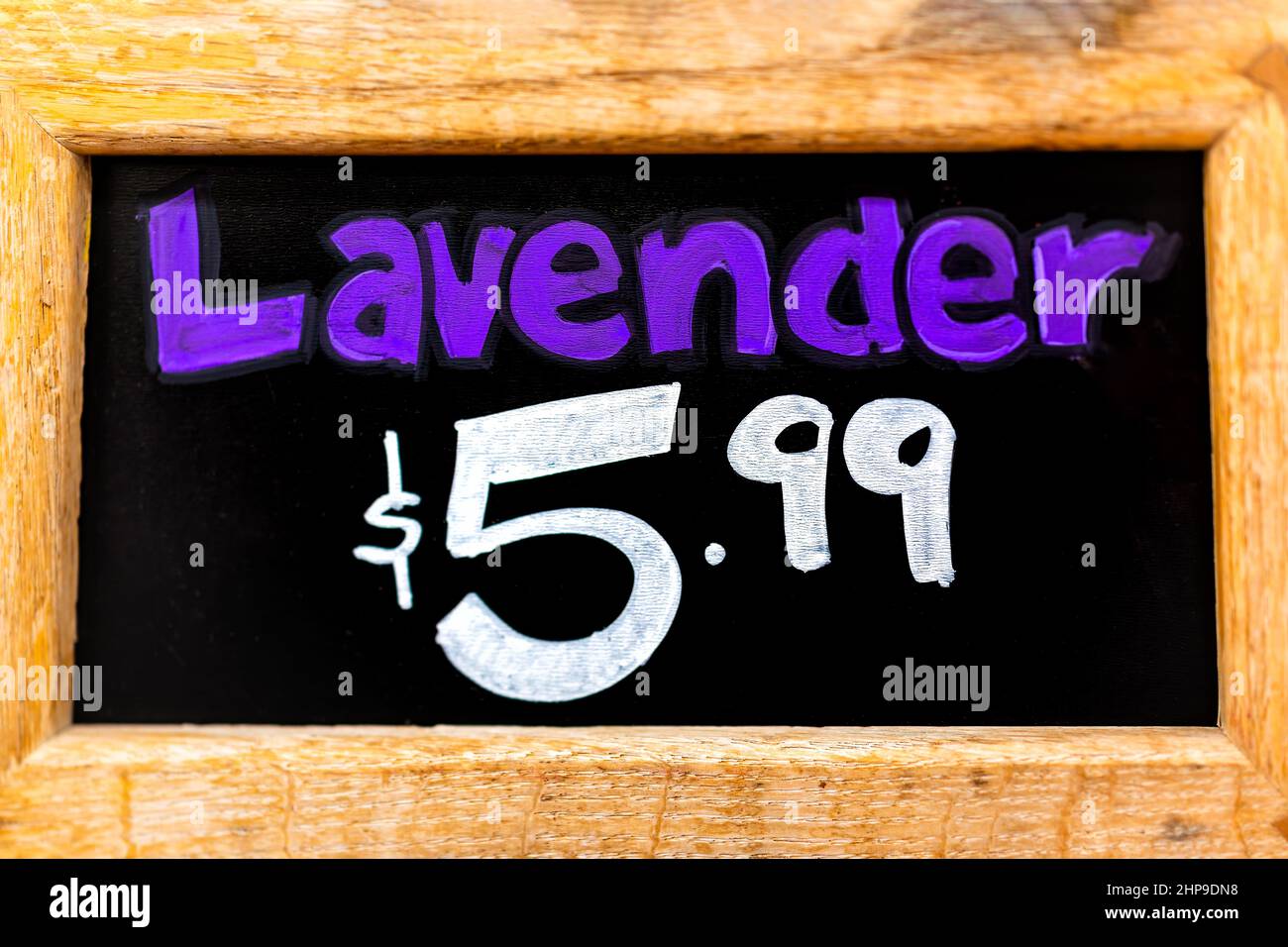 Purple color sign closeup written by hand for lavender plant in chalk ...