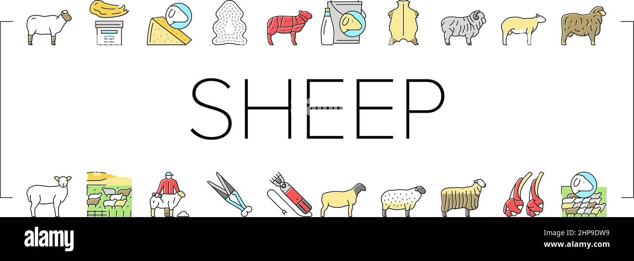 Sheep Breeding Farm Business Icons Set Vector Stock Vector Image & Art ...