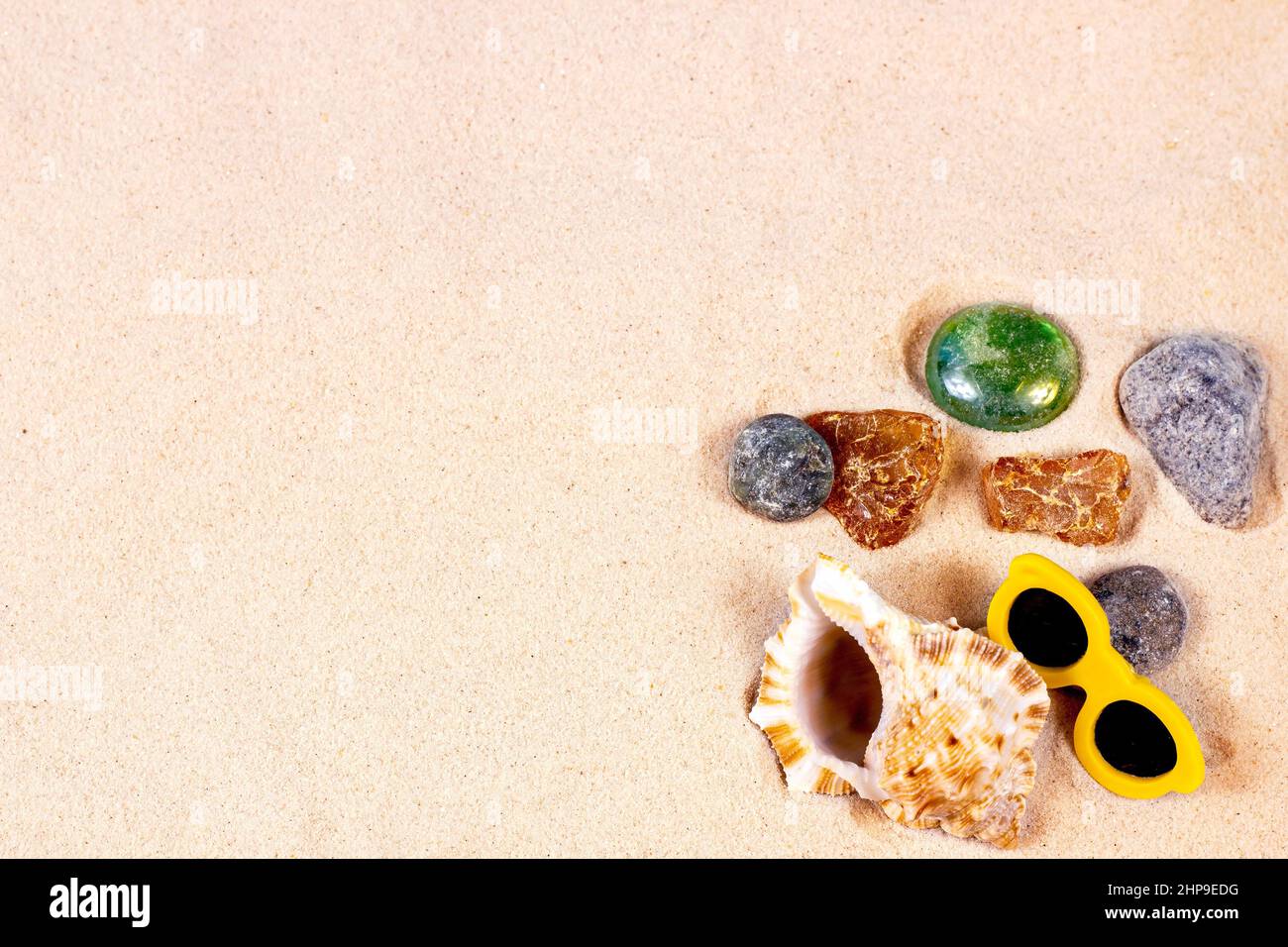 Yellow sandy textured background with bright seashells and stones as a ...