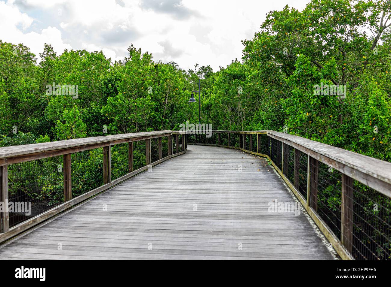 Naples in Southwest Florida Coller County Gordon River Greenway Park ...