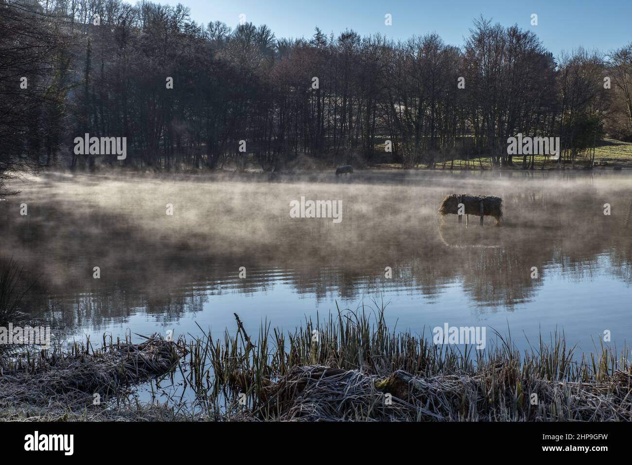 Lac du Causse en hiver Stock Photo - Alamy