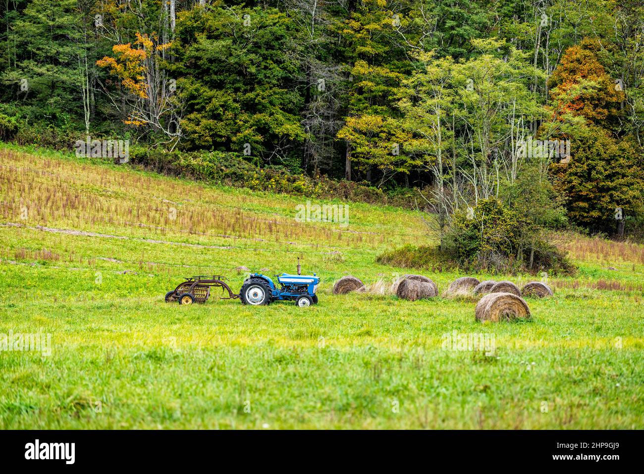 Farm fields and green trees in autumn fall near Dolly Sods, West ...