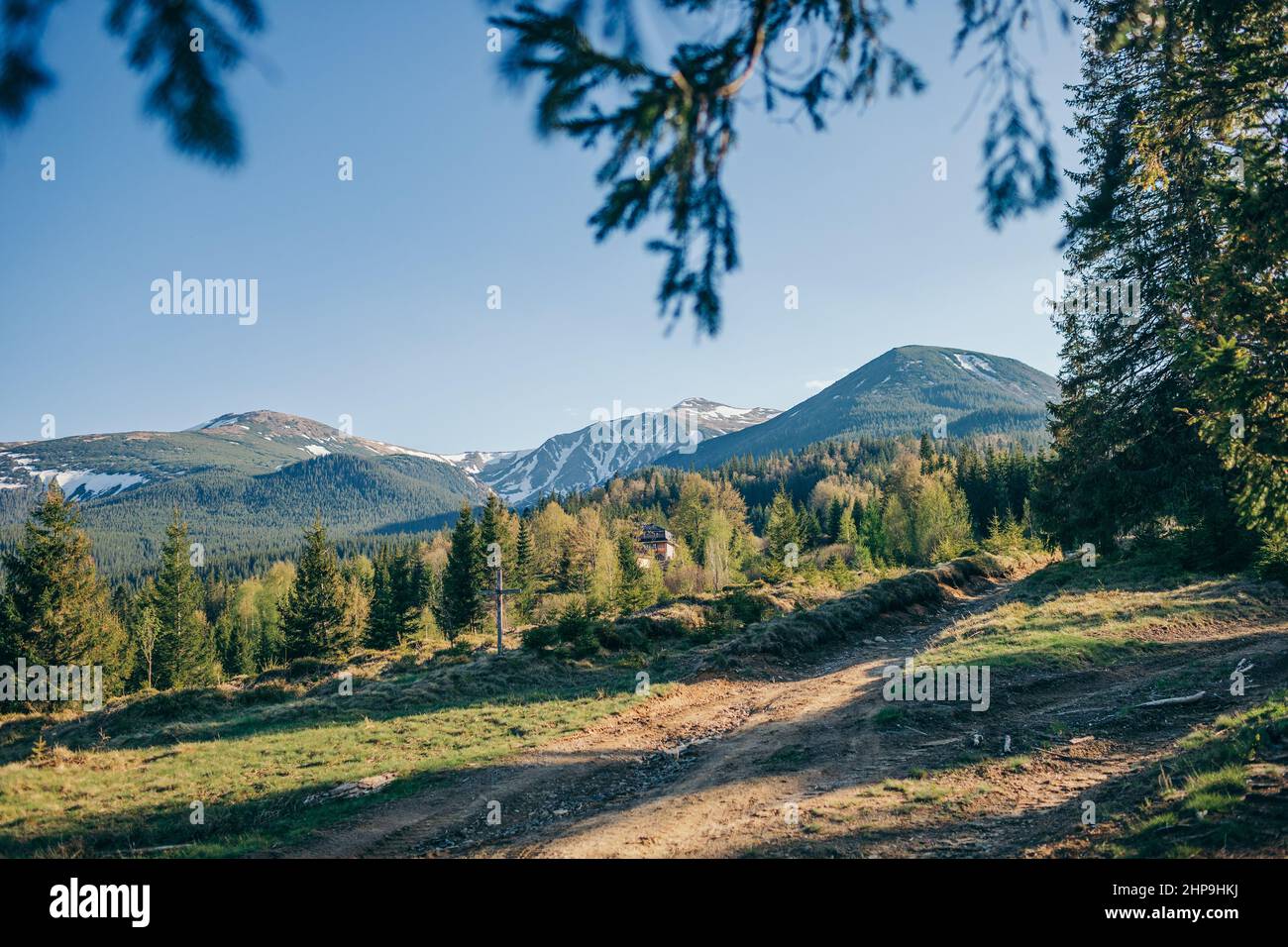 A path with trees on the side of a mountain Stock Photo - Alamy