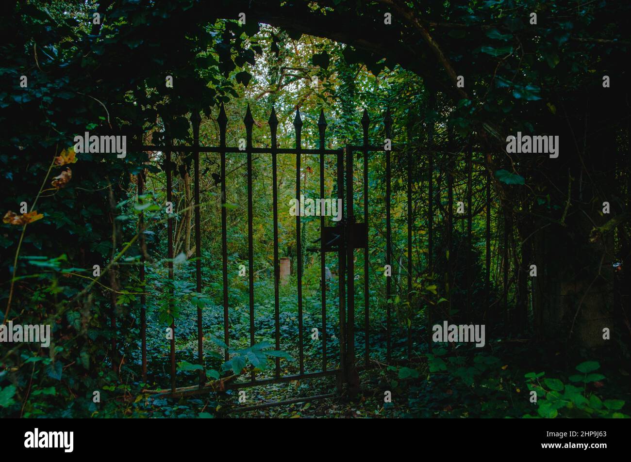 Wrought iron gate with a romantic abandoned garden visible behind Stock ...