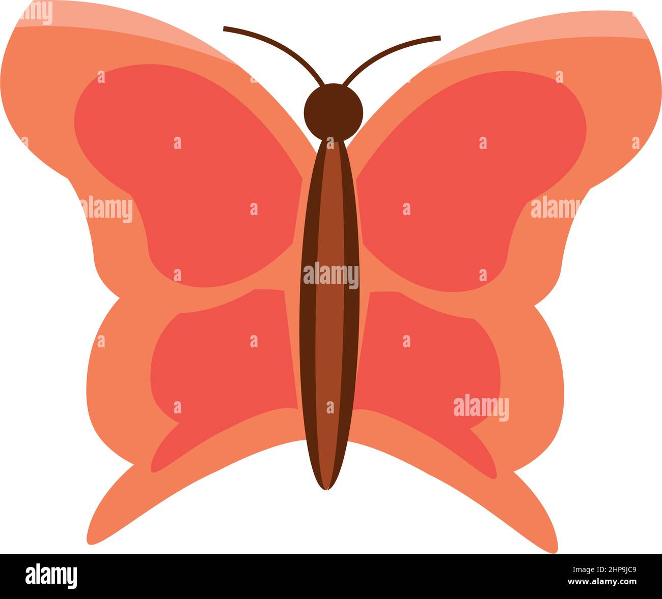 butterfly insect cartoon Stock Vector Image & Art - Alamy