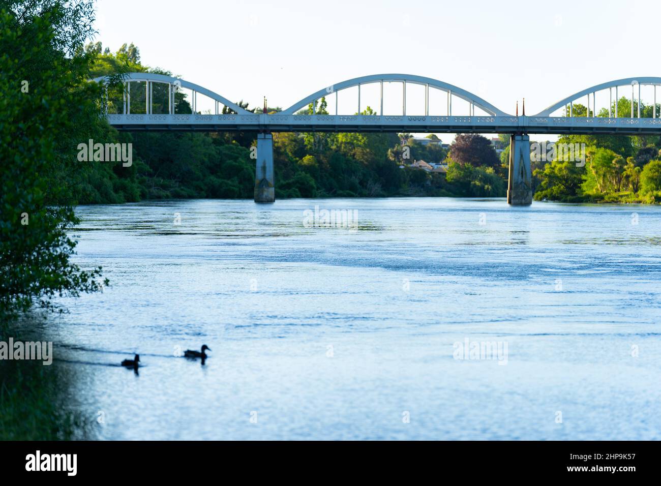 Bridge along the Waikato River in the city of Hamilton, New Zealand ...