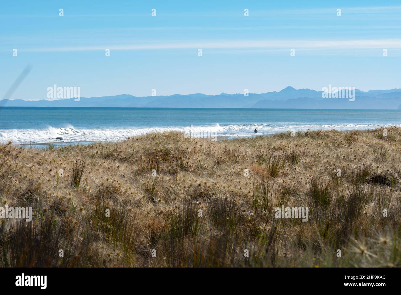 A sunny day on an east coast beach in the North Island of New Zealand ...