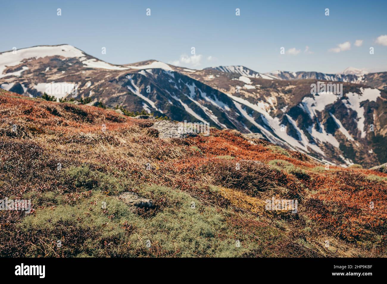 A field with a mountain in the background Stock Photo - Alamy