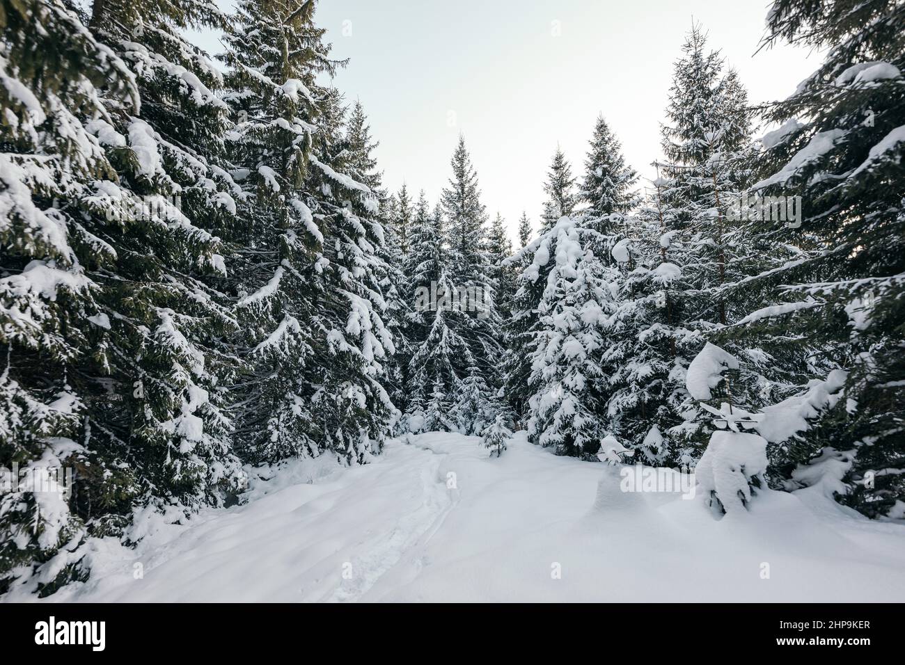 Man woman standing face face hi-res stock photography and images - Alamy
