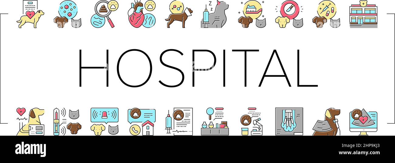 Hospital Pet Health Examination Icons Set Vector Stock Vector Image ...