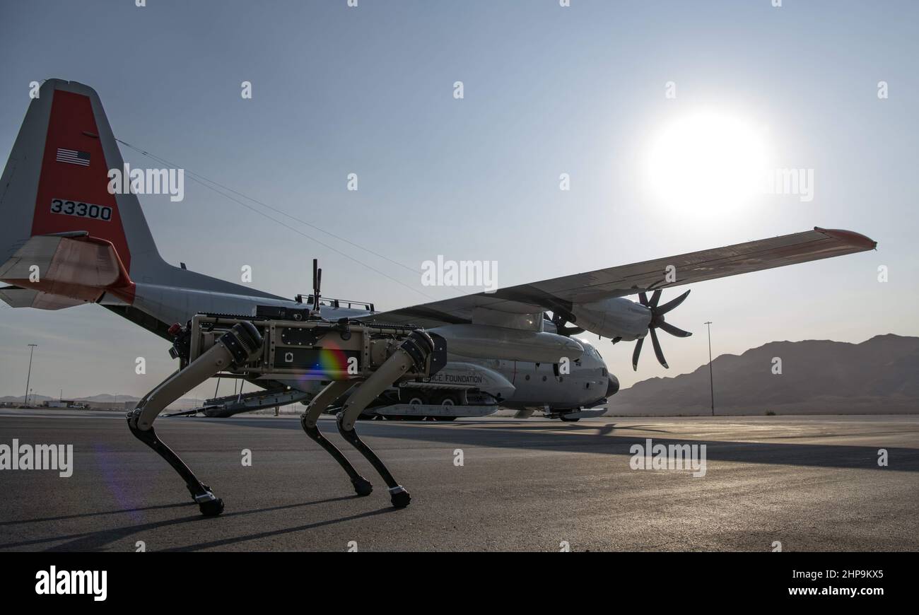September 1, 2020, Nellis Air Force Base, Nevada, USA: A Ghost Robotics ...