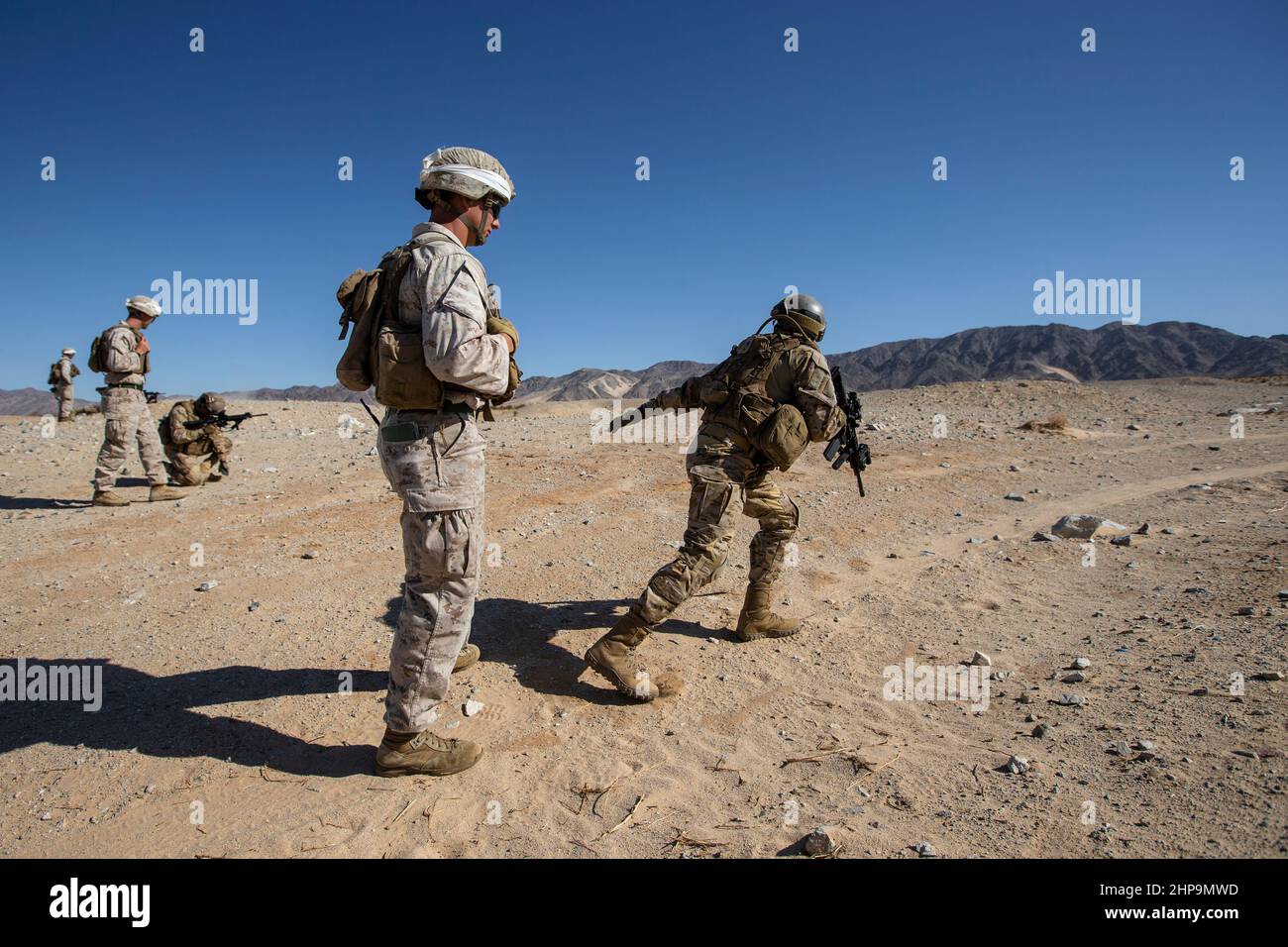3rd battalion 4th marine regiment 1st marine division hi-res stock ...