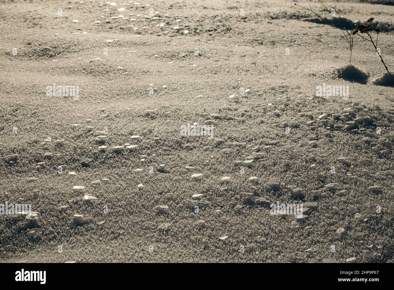 Woman standing grazing horse hi-res stock photography and images - Alamy