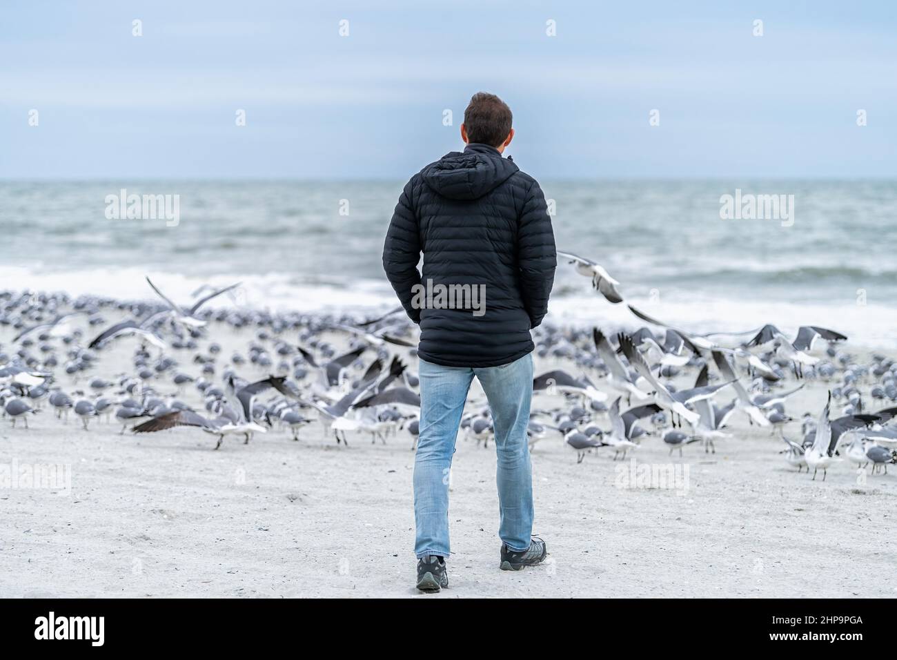 Myrtle Beach city by Atlantic ocean with flocks of seagulls flying sea ...