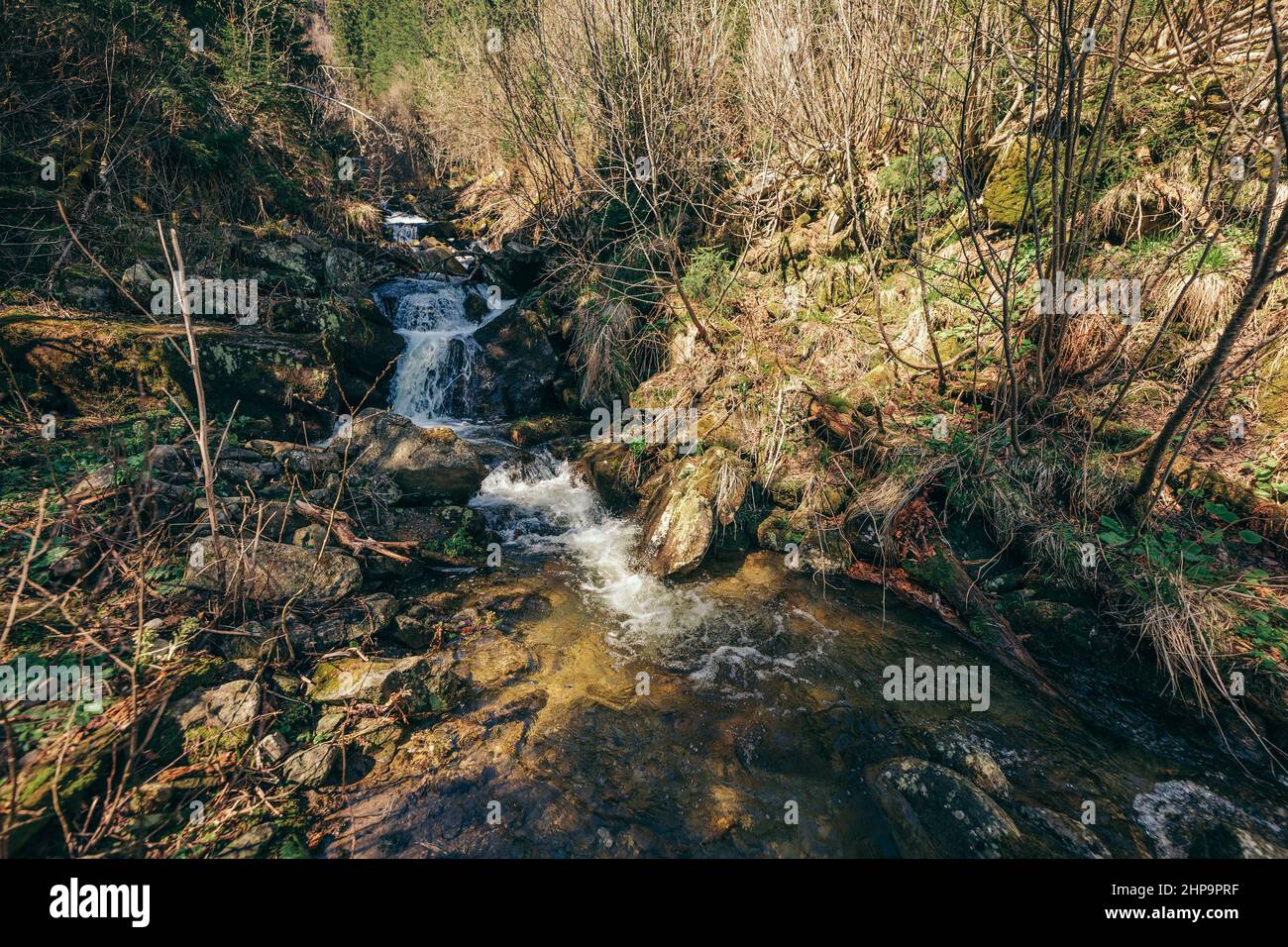 A waterfall in a forest Stock Photo - Alamy