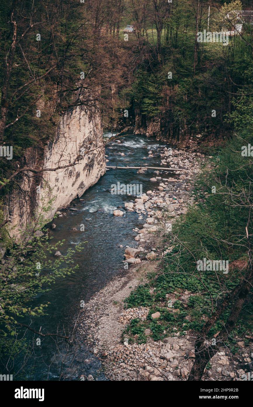 A river running through a forest Stock Photo - Alamy
